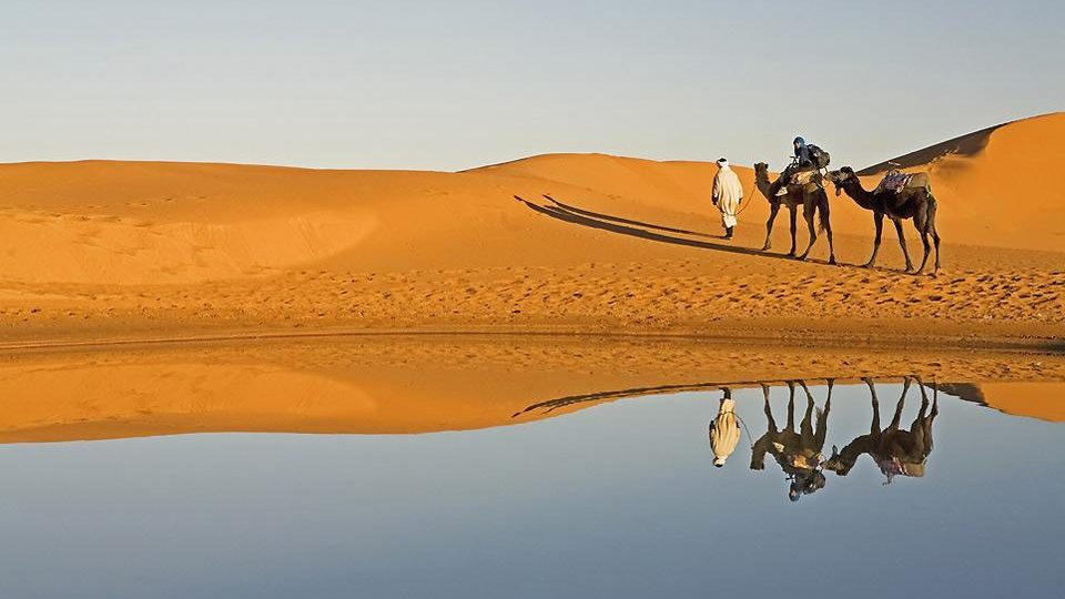 Sahara occidental information touristique | Pays monde